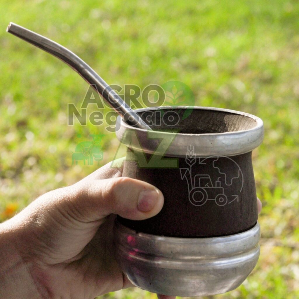 10 Municípios Brasileiros Maiores Produtores de Erva-Mate - Agronegócio AZ